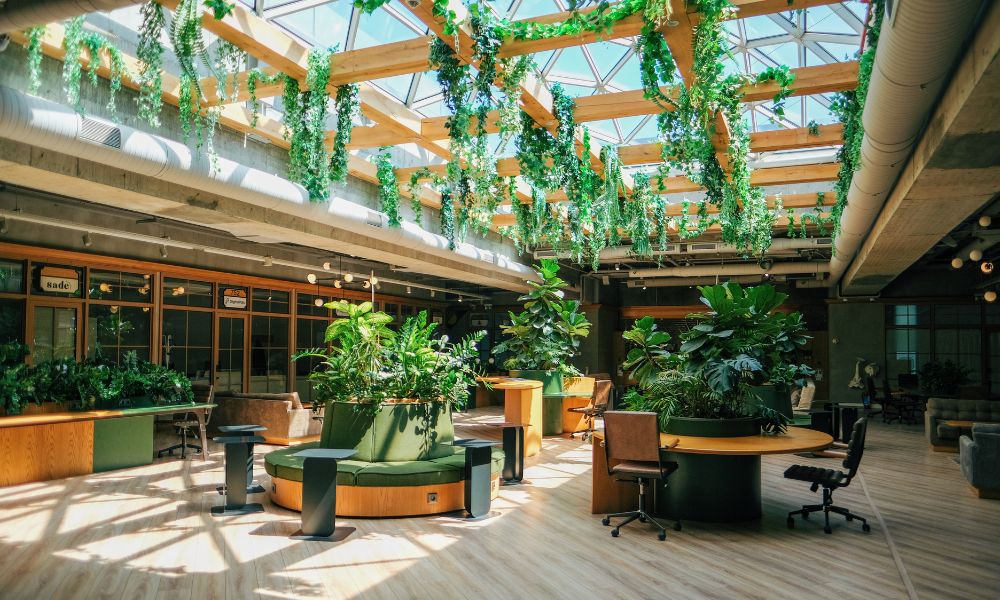 The Environmental Impact of Eco-Friendly Business Practices